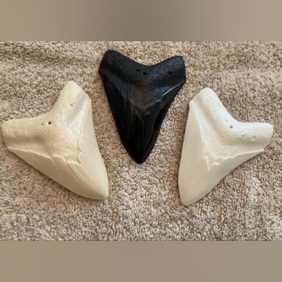 Other | Faux Megalodon Sharks Teeth A Dozen | Poshmark
